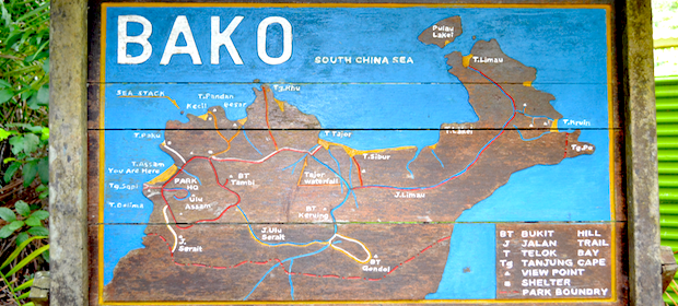 Bako Nationalpark auf Borneo - Choices of life - Travelblog